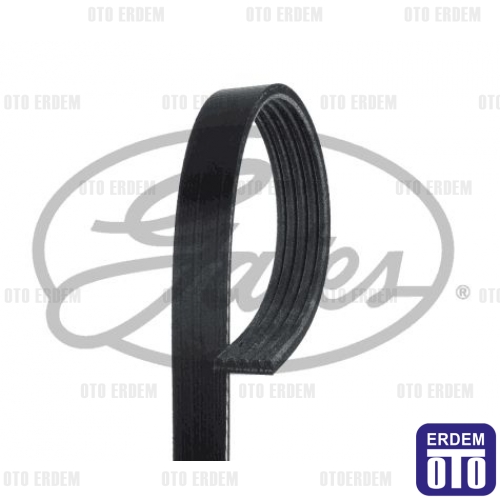 Clio 2 Alternatör V Kayışı Gates Klimasız 8200841132 GAT-RDM1113K5 ...